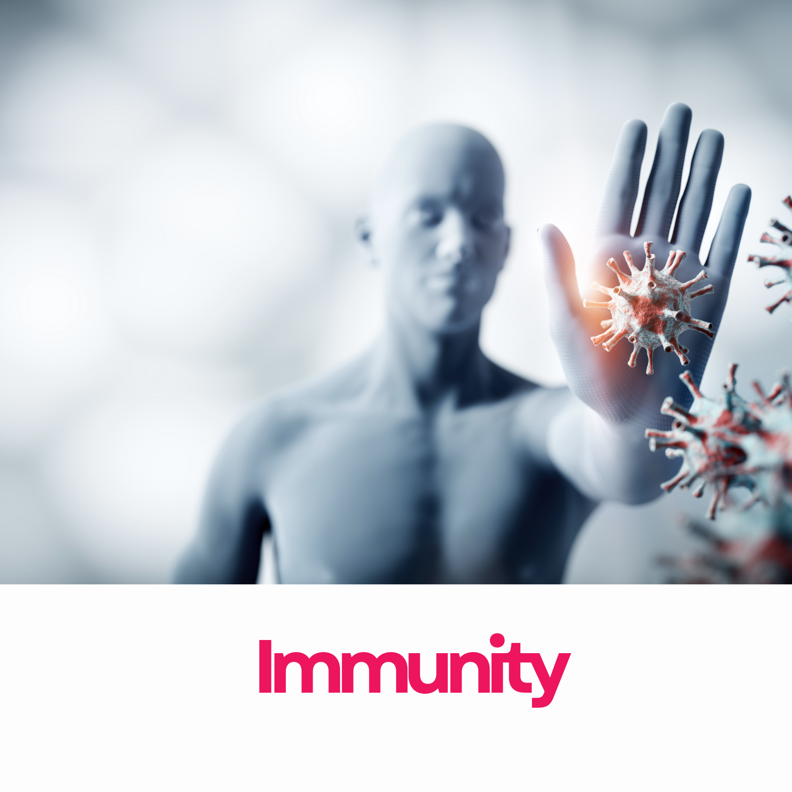 Immunity – AllHerbs.com