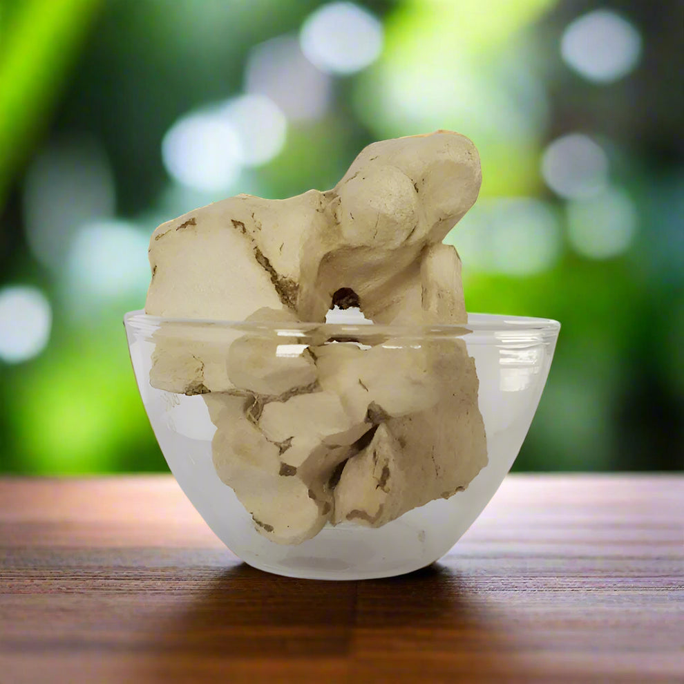 Parangi Pattai | Indian Pennywort [Dried Raw] – AllHerbs.com