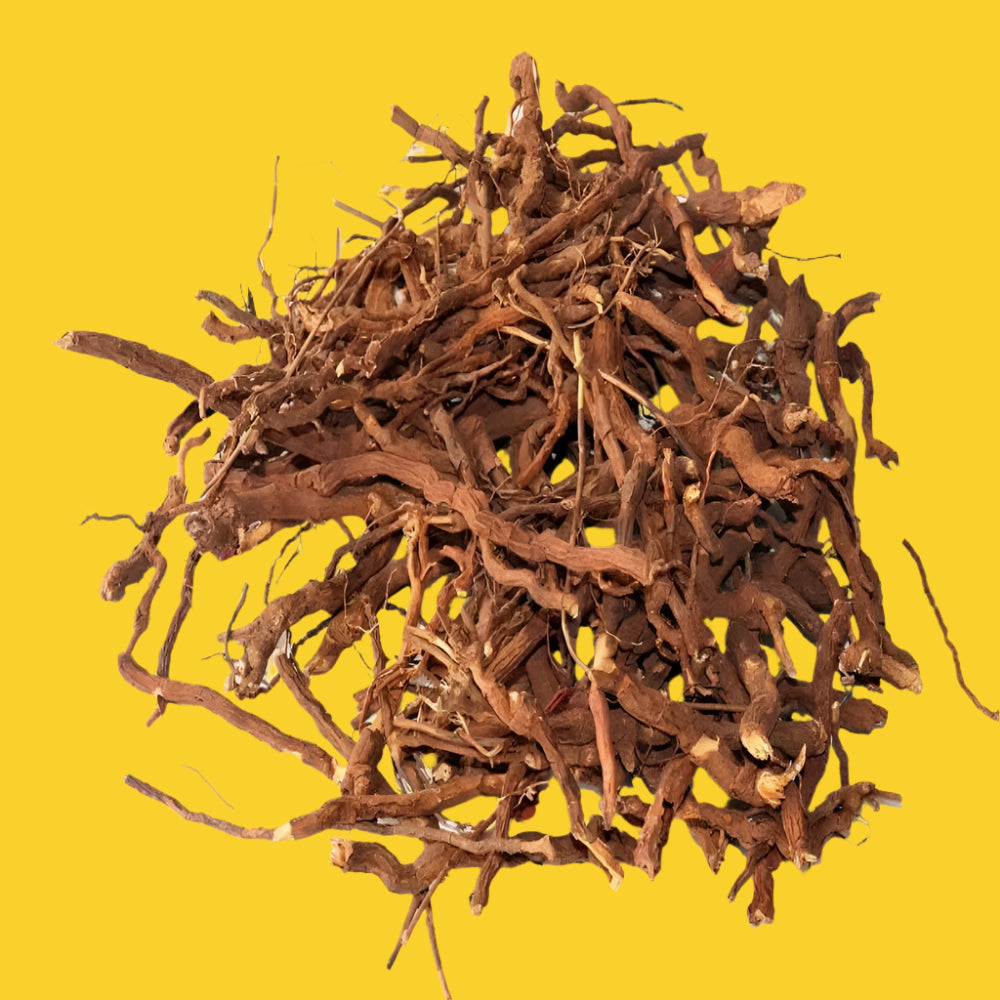 Nannari | Sarsaparilla [Dried Root] – AllHerbs.com